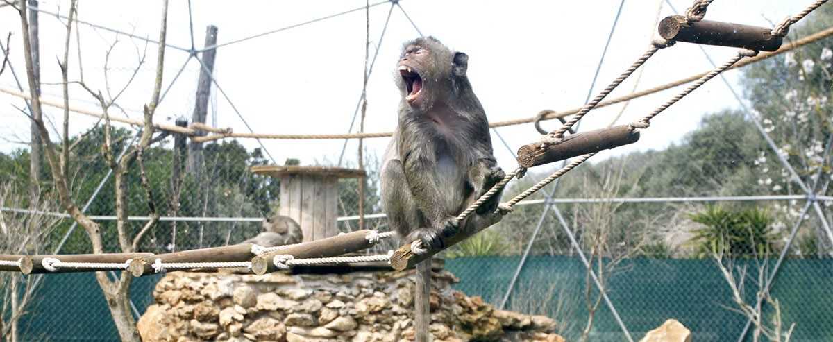 Zoo Lloc Menorca